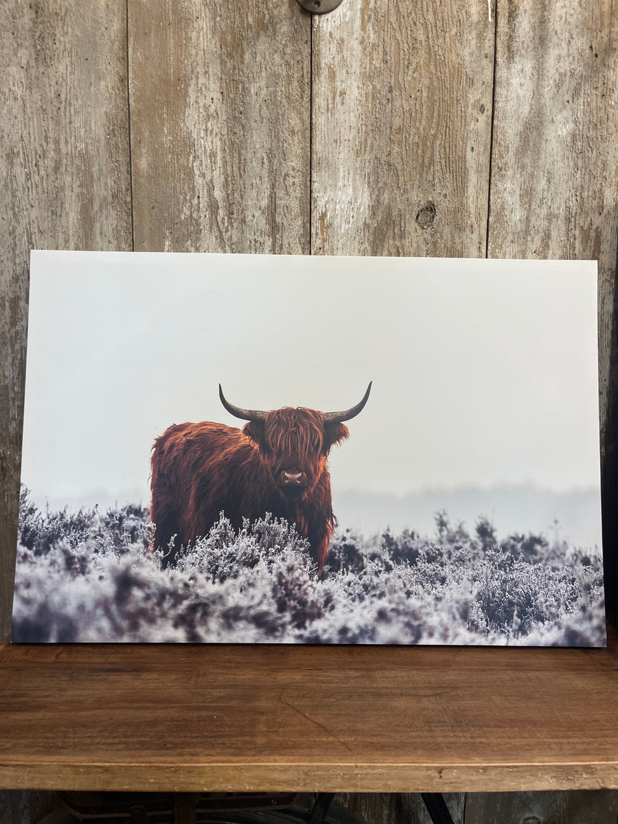 Highland Cow Print – Farmhouse Rehab